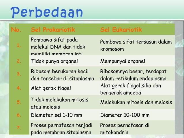 Tipe Sel dan Struktur Sel # Biologi | PPT