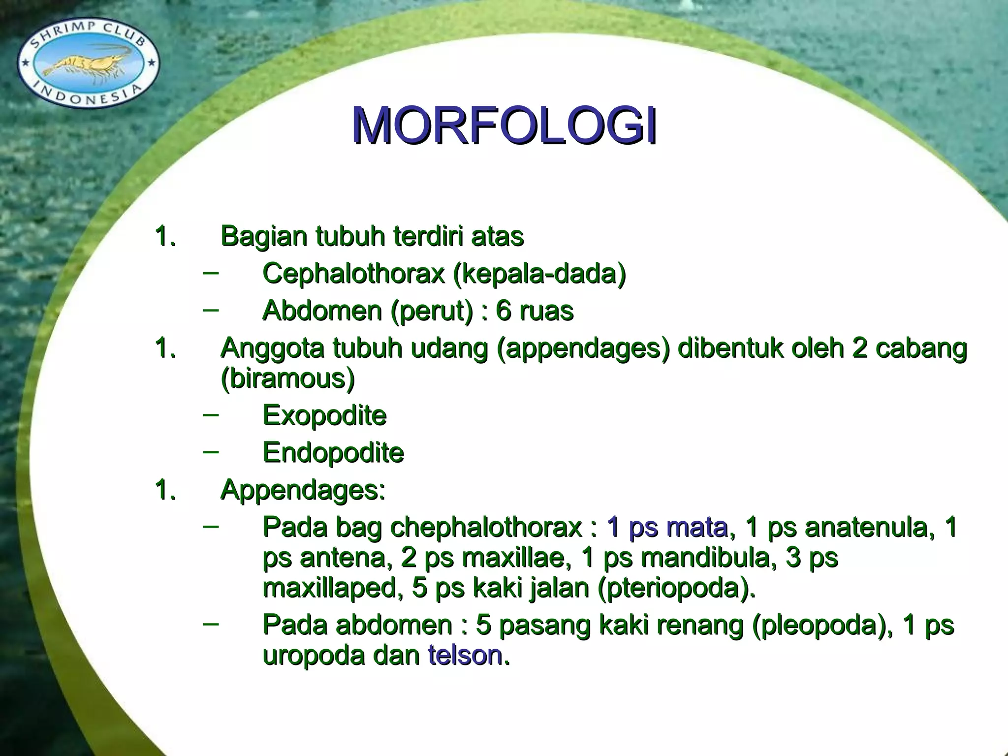 Biologi udang | PPT