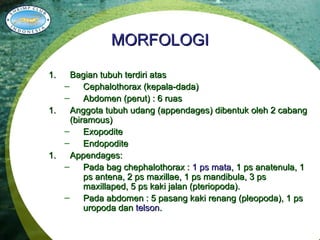 Biologi Udang.pdf