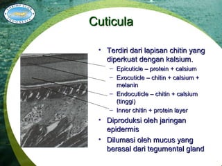 Biologi Udang.pdf