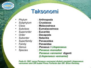 Biologi Udang.pdf