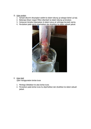 Laporan Amali Biologi: Ujian Makanan | DOCX