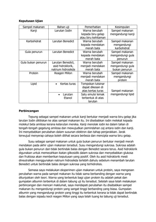 Laporan Amali Biologi: Ujian Makanan | DOCX