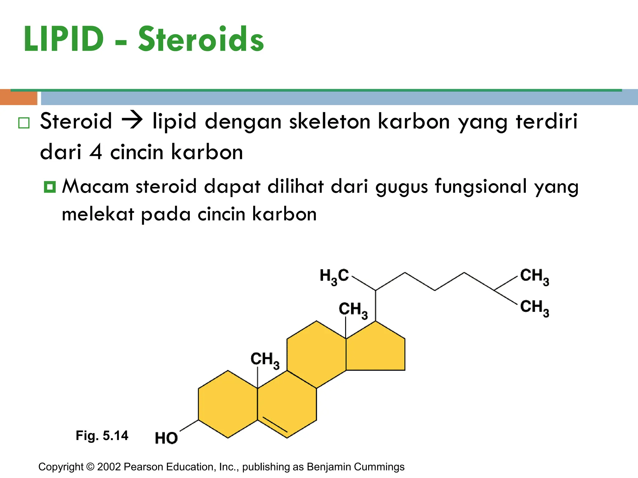 Biologi Umum 1 - UGM - Pengantar dan Materi Penyusun MH.pdf