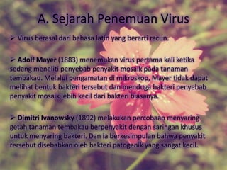 Virus | PDF