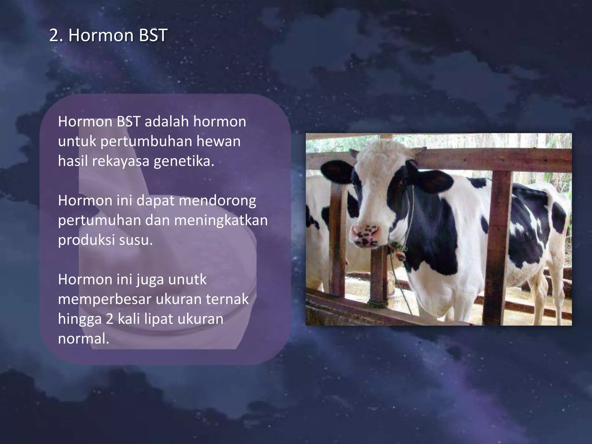 Biologi xii peranan bioteknologi | PPTX