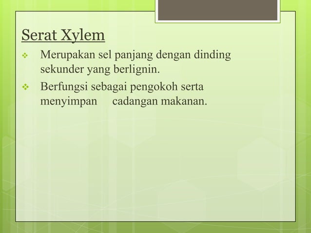 Biologi (xilem) | PPTX