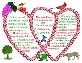 Heyvanlar aləmi | PPT