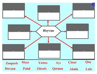 Heyvanlar aləmi | PPT