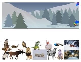 Heyvanlar aləmi | PPT