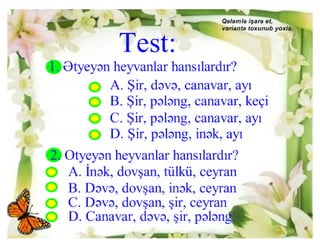 Heyvanlar aləmi | PPT