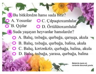 Heyvanlar aləmi | PPT