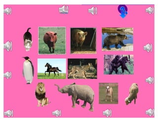 Heyvanlar aləmi | PPT