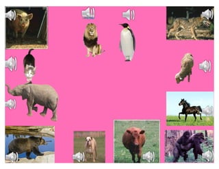 Heyvanlar aləmi | PPT