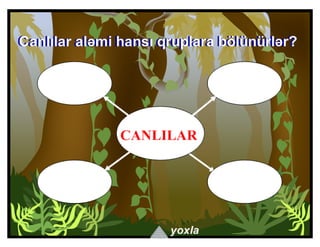 Biologiya 7 211_ehmedova ramile ramiz | PDF