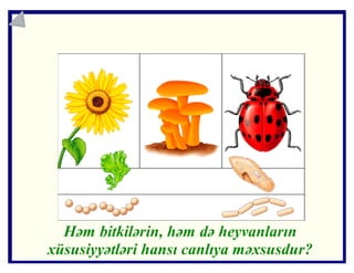 Biologiya 7 211_ehmedova ramile ramiz | PDF