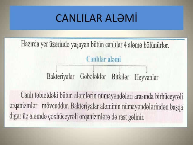 Biologiya (yosunlar) | PPTX