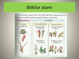 Biologiya (yosunlar) | PPTX
