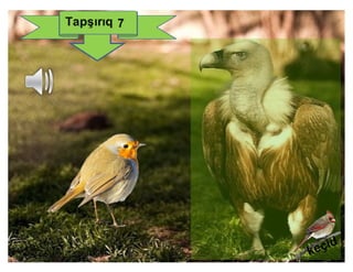 Biologiya 8 250_haciyeva_peri_nicat | PPT