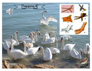 Biologiya 8 250_haciyeva_peri_nicat | PPT