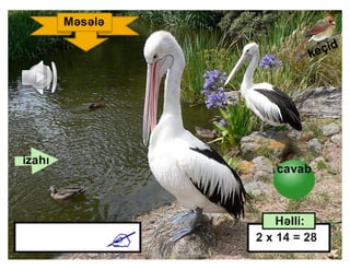 Biologiya 8 250_haciyeva_peri_nicat | PPT