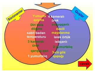 Biologiya 8 250_haciyeva_peri_nicat | PPT