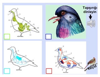Biologiya 8 250_haciyeva_peri_nicat | PPT