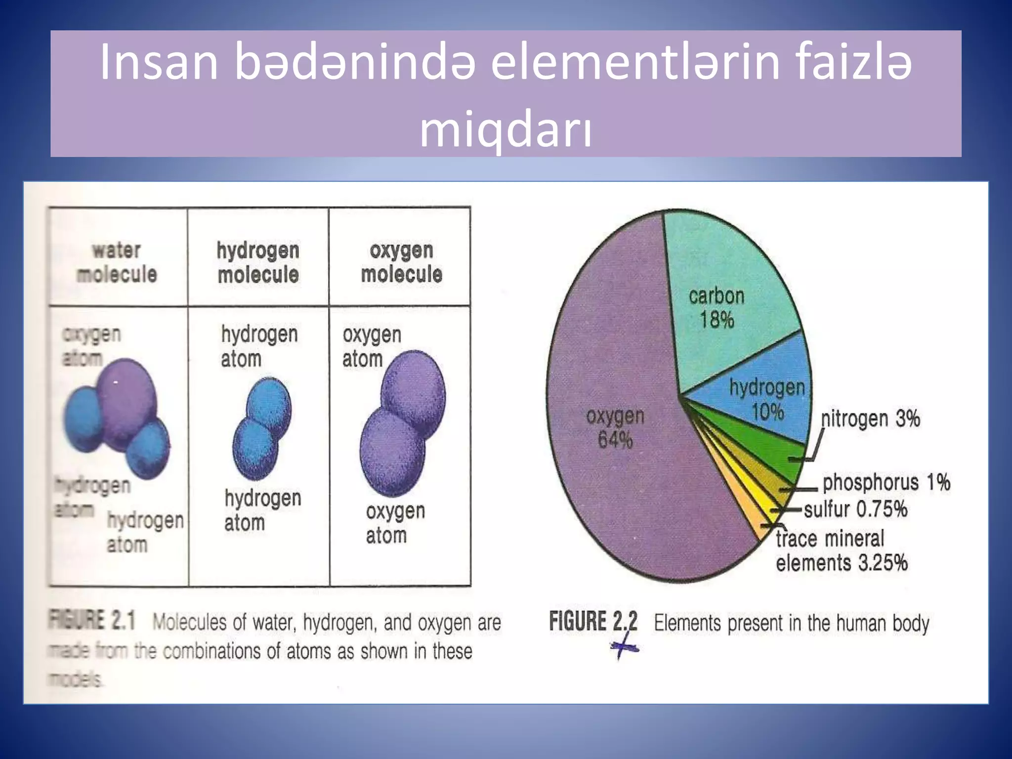 Biologiya orqanlar sistemi | PPTX