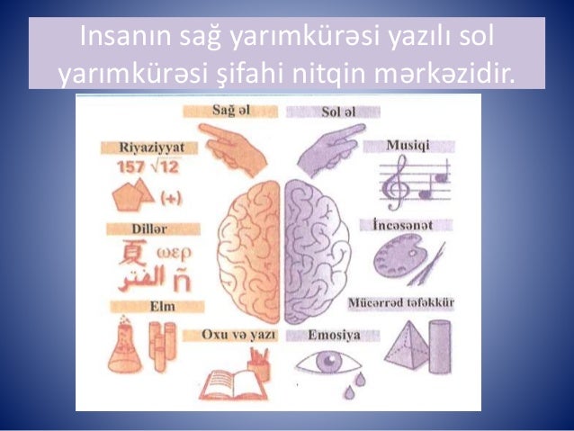 Biologiya sinir sistemi