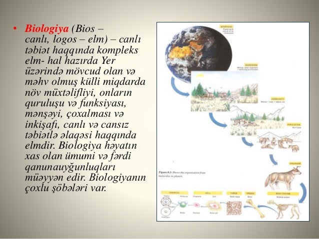 Biologiya dünyasi