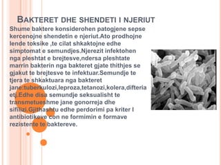 Roli i baktereve Graciela Mulla shkolla"Albanet"klasa VIII | PPTX