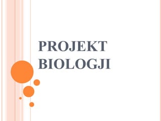 Kujdesi per gojen | PPT