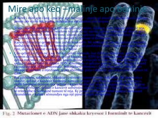 Biologji kanceri forme e rebelimit qelizor | PPT