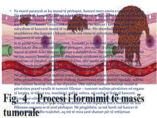 Biologji kanceri forme e rebelimit qelizor | PPT