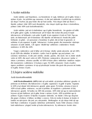 Acidet nukleike dhe nderrimi i kromozomeve | DOCX