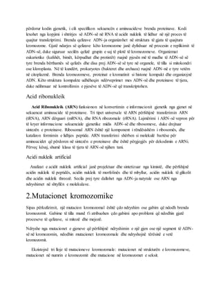 Acidet nukleike dhe nderrimi i kromozomeve | DOCX