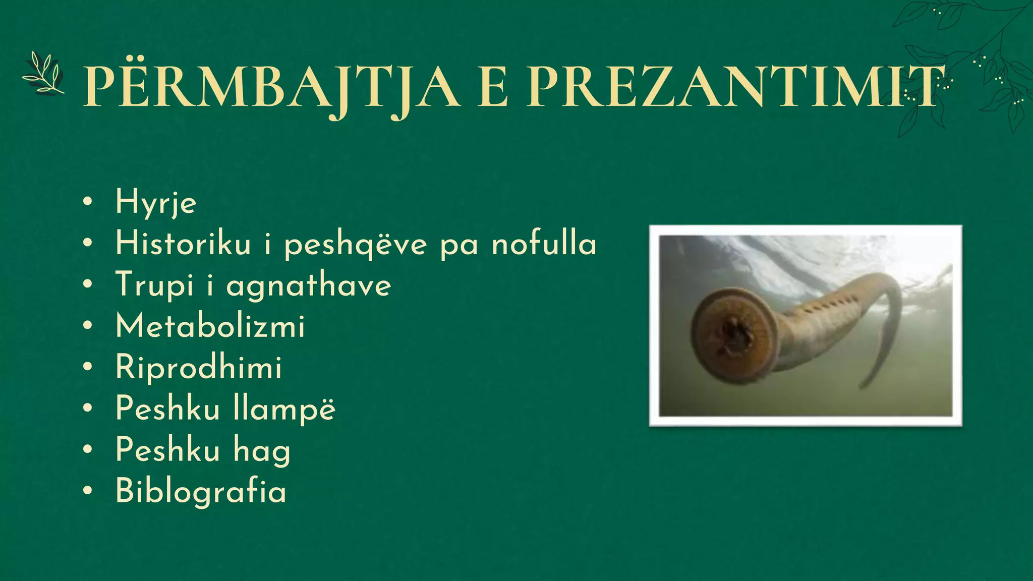 Biologji-Angatha-Orgesa Ibri.pptx