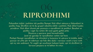 Biologji-Angatha-Orgesa Ibri.pptx