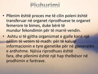 Biologji - Poleni dhe Pluhurimi | PPTX