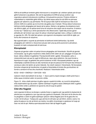 Biologjia | DOC