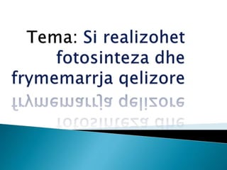 Biologji(fotosinteza dhe frymemarrja qelizore) | PPTX