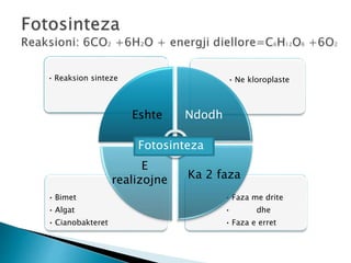 Biologji(fotosinteza dhe frymemarrja qelizore) | PPTX