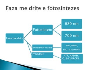 Biologji(fotosinteza dhe frymemarrja qelizore) | PPTX