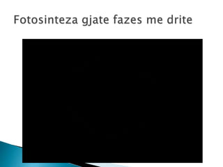 Biologji(fotosinteza dhe frymemarrja qelizore) | PPTX