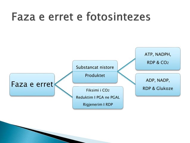 Biologji(fotosinteza dhe frymemarrja qelizore) | PPTX
