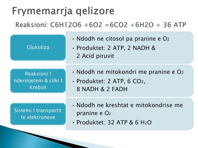 Biologji(fotosinteza dhe frymemarrja qelizore) | PPTX