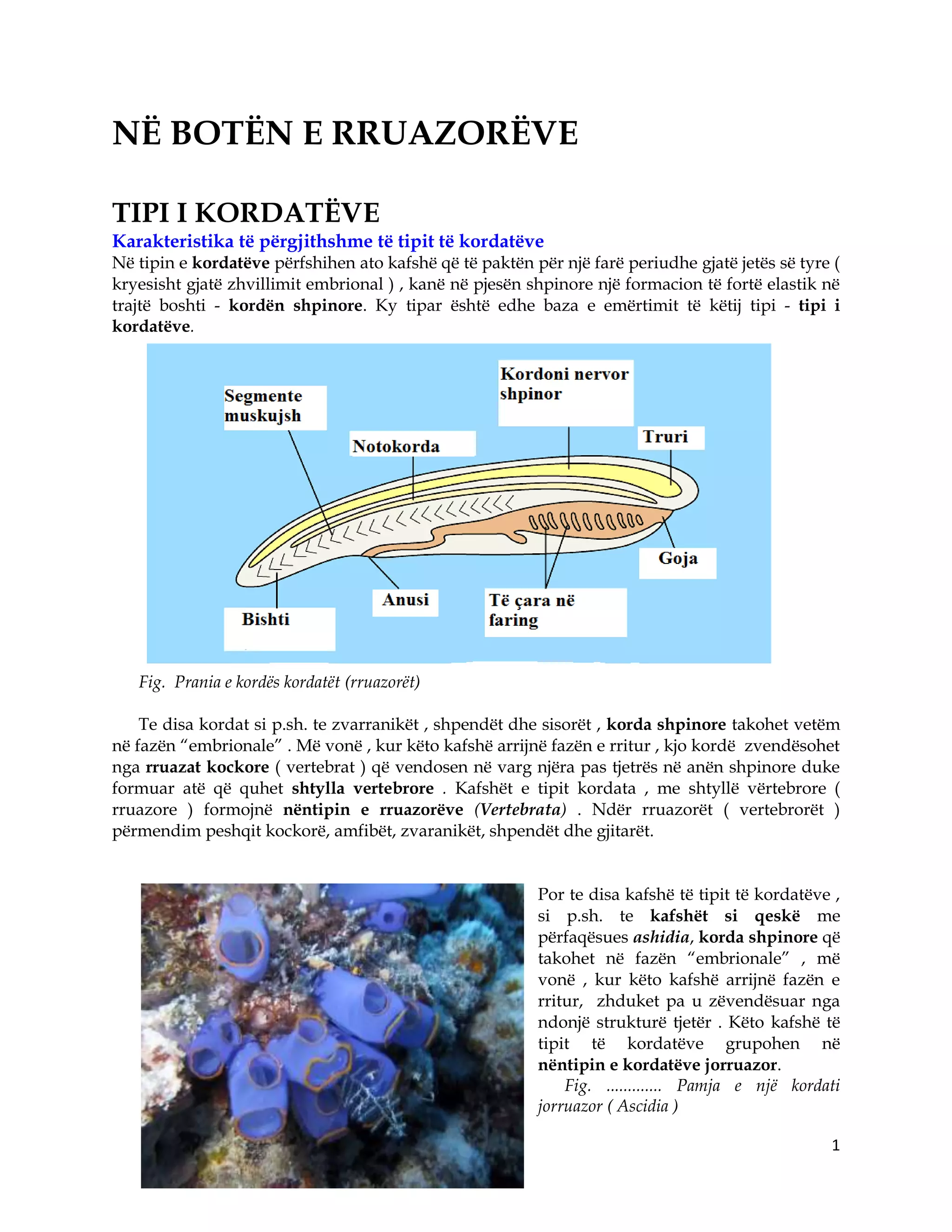 Biologjia bota e rruazoreve gjitaret... | DOCX