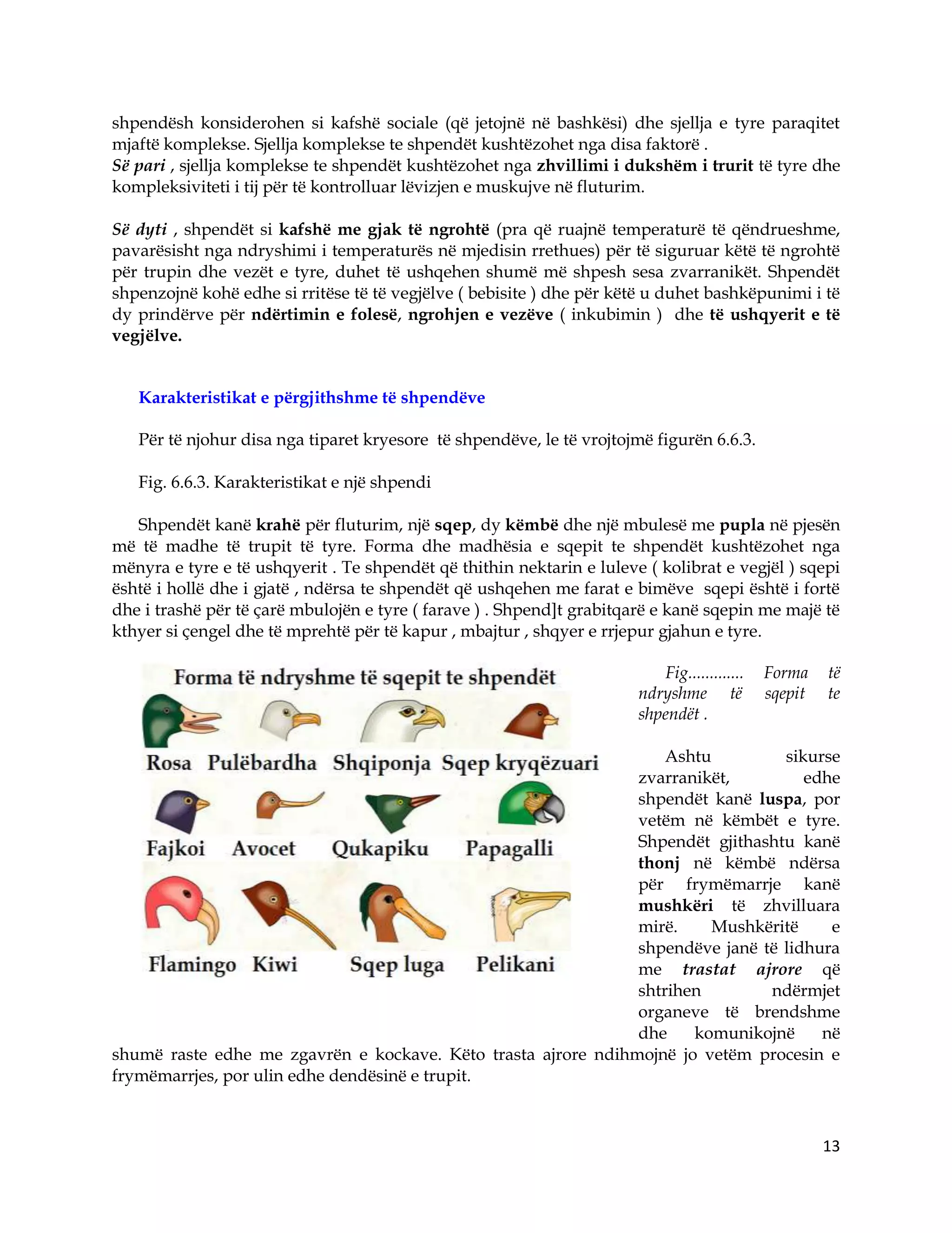 Biologjia bota e rruazoreve gjitaret... | DOCX