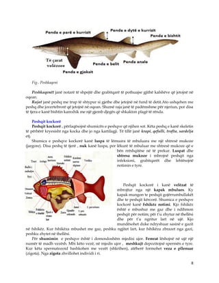 Biologjia bota e rruazoreve gjitaret... | DOCX