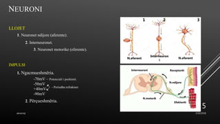 Biologjia e sjelljes | PPTX